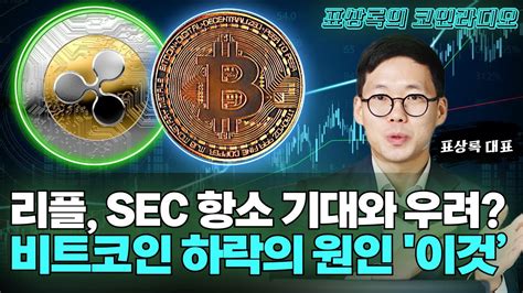 리플 Sec 항소 임박 기대와 우려 비트코인 하락의 원인은 이것 표상록 대표 Youtube