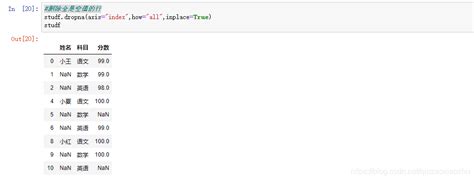 Pandas对缺失值的处理 Pandas处理excel表格缺失值pandas缺失值补充0但是不显示 Csdn博客