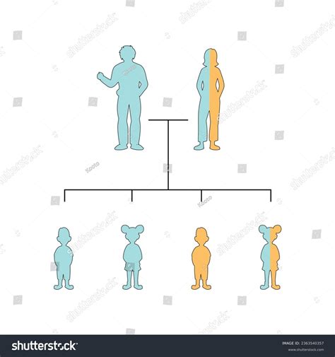 x linked recessive inheritance concept design vector stock vector