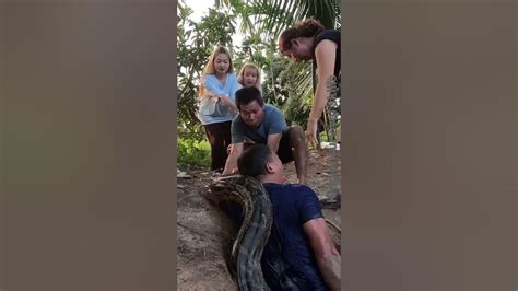 Giant Python Fiercely Attacks Humans Shorts Youtube
