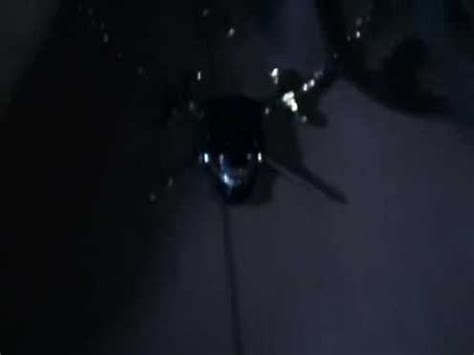 Sex Video Polar Ruby O Fee Netflix Movie Sex Scene Video Best Sexy Scene HeroEro Tube