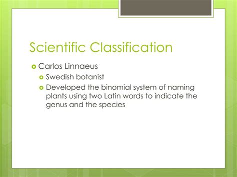 Ppt Scientific Classification Powerpoint Presentation Free Download Id 2313303