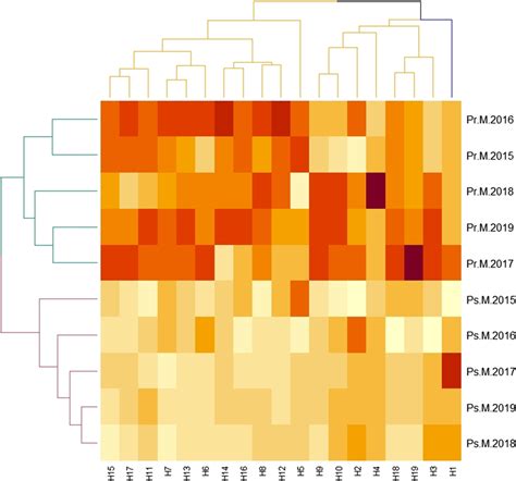 heatmap with dendrogram tree represent wqi values among sampling sites