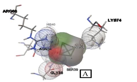 Molecular Docking Analysis And Interpretation By Samia Kausar Fiverr