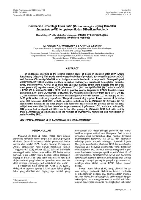 PDF Gambaran Hematologi Tikus Putih Rattus Norvegicus Yang Diinfeksi Escherichia Coli