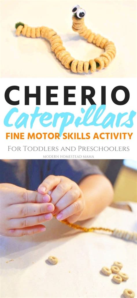 30 Fruit Loop Activities For Preschoolers Ideas Activities Preschool