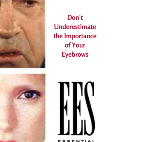 Blog Ees Essential Eyebrow Solution Maximize Eyebrow Volume