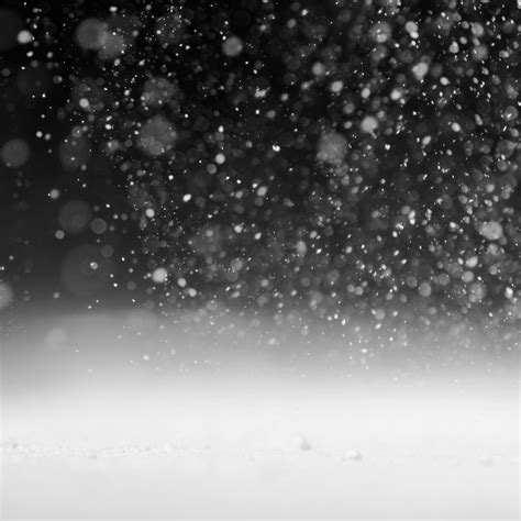 Ceteareth – 20 – Fields of Yarrow