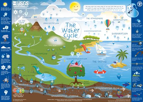 Water Cycle Poster And Placemat ~free Diy Homeschooler