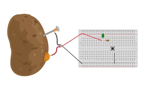 Circuit Design Circuito Protoboard Tinkercad