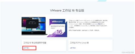 vmware workstation pro 与linux的配置 vmware for windows还是linux csdn博客