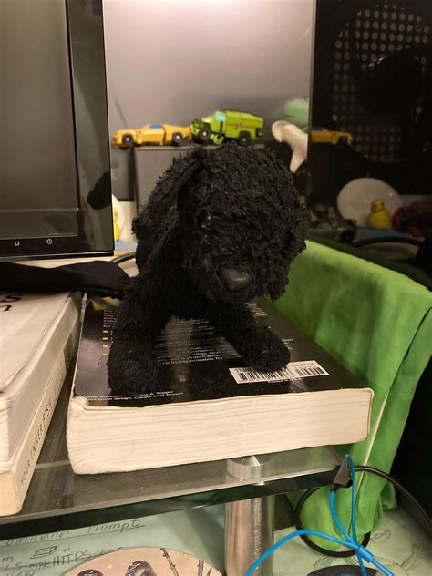 My Rubber Duck Debugger Ruddbuddies