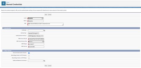connect salesforce to aws dynamodb