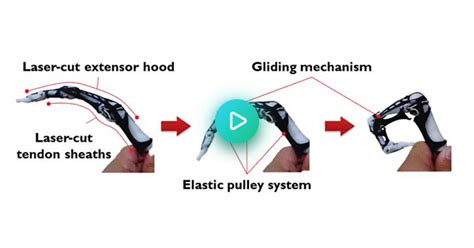 Biomimetic Anthropomorphic Robot Hand  On Imgur