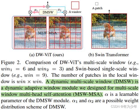 Vision Transformer Cvpr 2022 Beyond Fixation Dynamic Window Visual