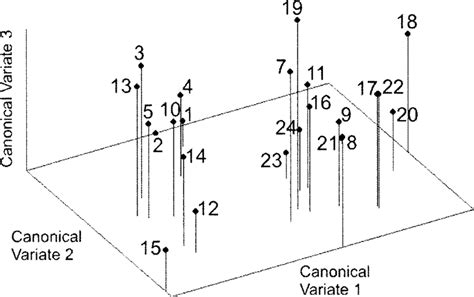 Canonical Variates Analysis Based On Traditional Measurements From