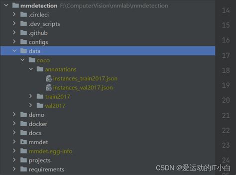 使用mmdetection训练自己的数据集coco Csdn博客