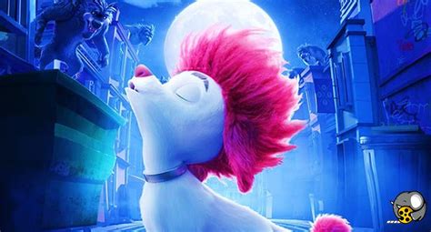 دانلود انیمیشن گرگ مادرزاد یا صد درصد گرگ 2020 فیلو