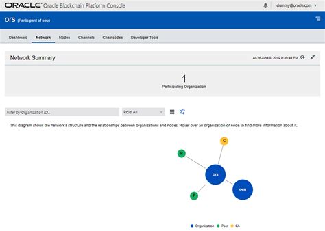 Participant Ors Network Summary Oracle Blockchain Quick Start Guide