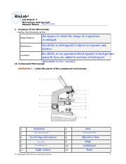 Microscope Cell LR PDF BioLab Lab Report Microscope And The Cell Sarah Connor Babe Name