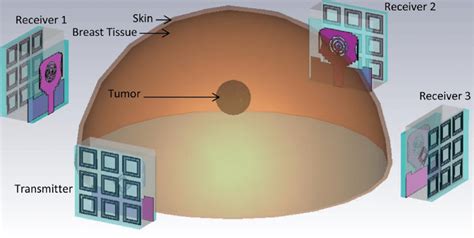 Simulation Setup For Mwi Download Scientific Diagram