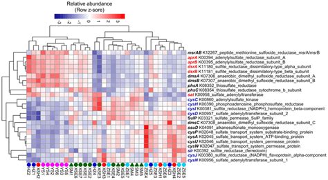 Relative Abundances Of Picrust Predicted Genes Relevant With Sulfur S