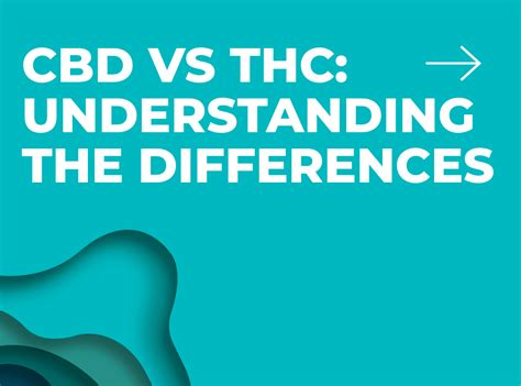 CBD Vs THC Different Types Of Cannabinoids