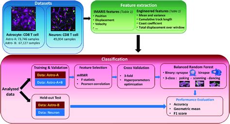 Framework Of Data Analysis And Model Construction The First Classifier Download Scientific