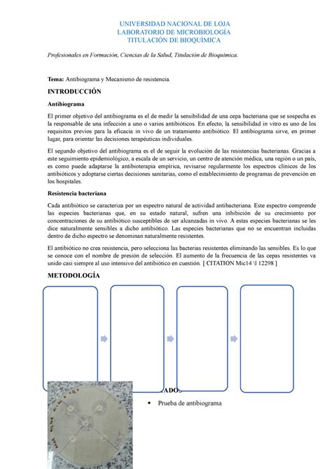 Práctica 4 Antibiograma Y Mecanismo De Resistencia Universidad