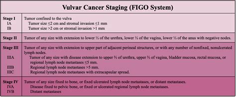 Gynecologic Cancer Staging Obgyn Student