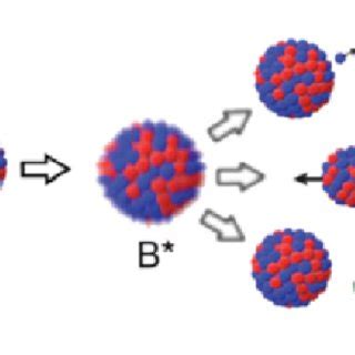 Illustration Of A Nuclear Reaction Proceeding Through The Compound Download Scientific Diagram