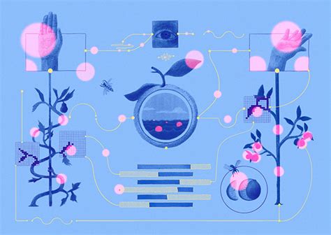 Constrained Optimization For Machine Learning Behance
