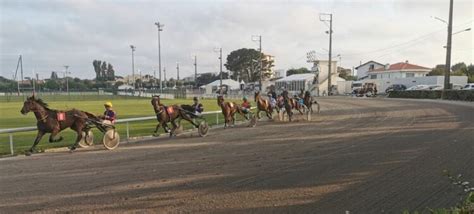 Hippodrome de Biarritz : Place au Meeting de ce mois de juillet 2024 ! - Que faire au Pays Basque