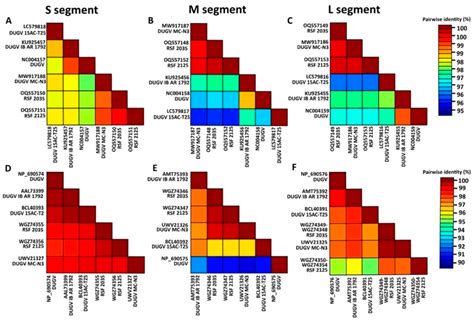 Sequence Identity Heatmap Showing Pairwise Percent Identity In
