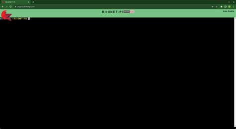 Adjusting Your Sound Card Mcguirepr BirdNET Pi Wiki GitHub
