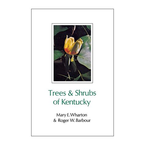 15 Native Shrubs Of Kentucky