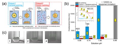 7 A Schematic Drawings To Show Two Experimental Protocols Of Download Scientific Diagram