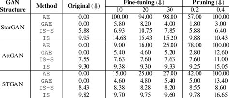 mismatch score after model transformations fine tuning and pruning