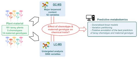 Simplified Scheme Of The Analytical Workflow Download Scientific