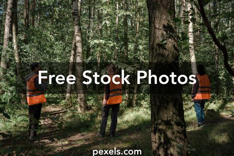 Environmental Work Photos Download The Best Free Environmental Work