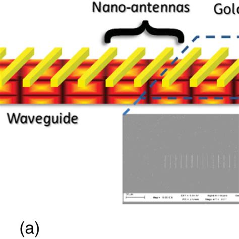 A Schematic Illustration Of The Device With Sem Photos Showing The Download Scientific