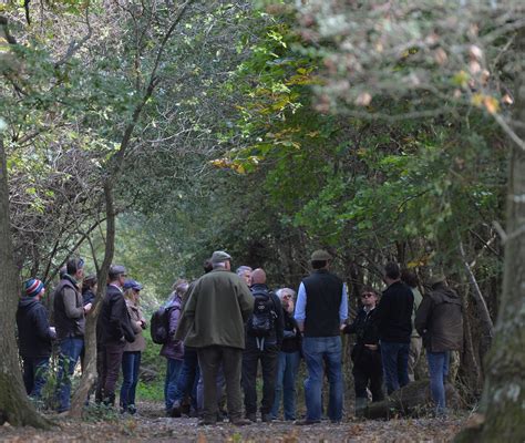 Rewilding Larger Scale Workshop Pre Visit Information Knepp