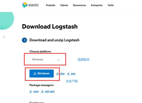 2022年官网下安装logstash最全版与官网查阅方法（8 1 0最新安装） 北极的大企鹅 博客园