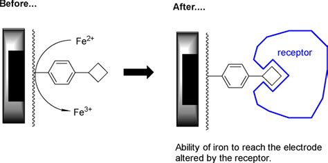 A Strategy For Monitoring Binding Events In “real‐time” Download