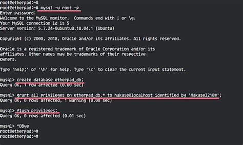 how to install collaborative real time editor etherpad on ubuntu 18 04