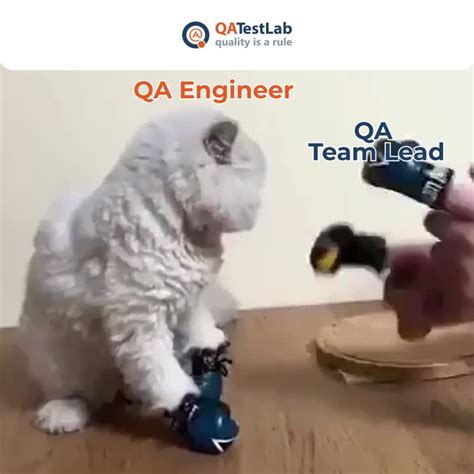 qatestlab on linkedin fridayfunday fridaymeme qameme itmeme