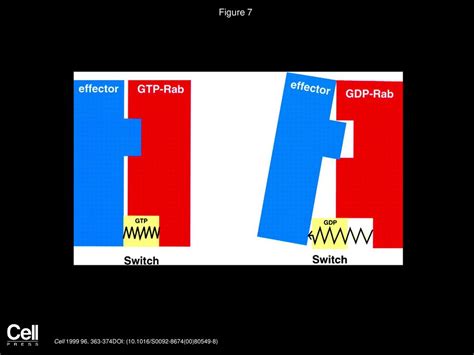 Structural Basis Of Rab Effector Specificity Ppt Download