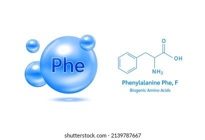 Important Amino Acid Phenylalanine Phe F Stock Vector Royalty Free