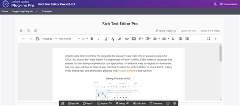 Toolbar Rich Text Editor Pro For Oracle Apex