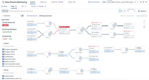 Data Streams Monitoring